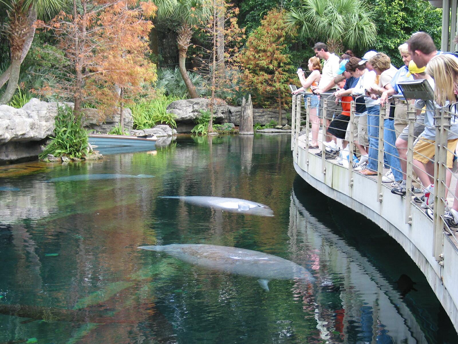 Ultimate Orlando Blog: Turtle Trek at SeaWorld - A Belated Review