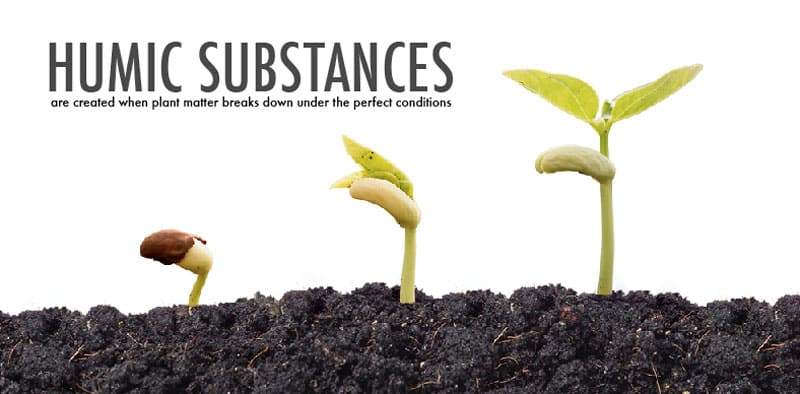 Extraction And Purification Of Some Humic Substances إستخلاص وتنقية بعض ...