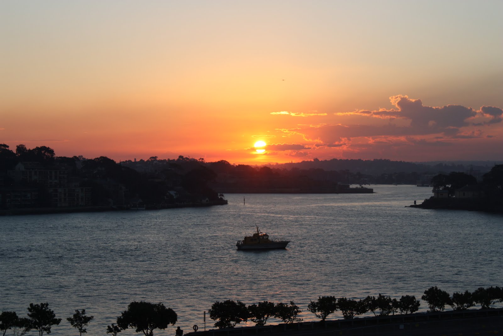 Sydney - City and Suburbs: Port Jackson, harbour pilot