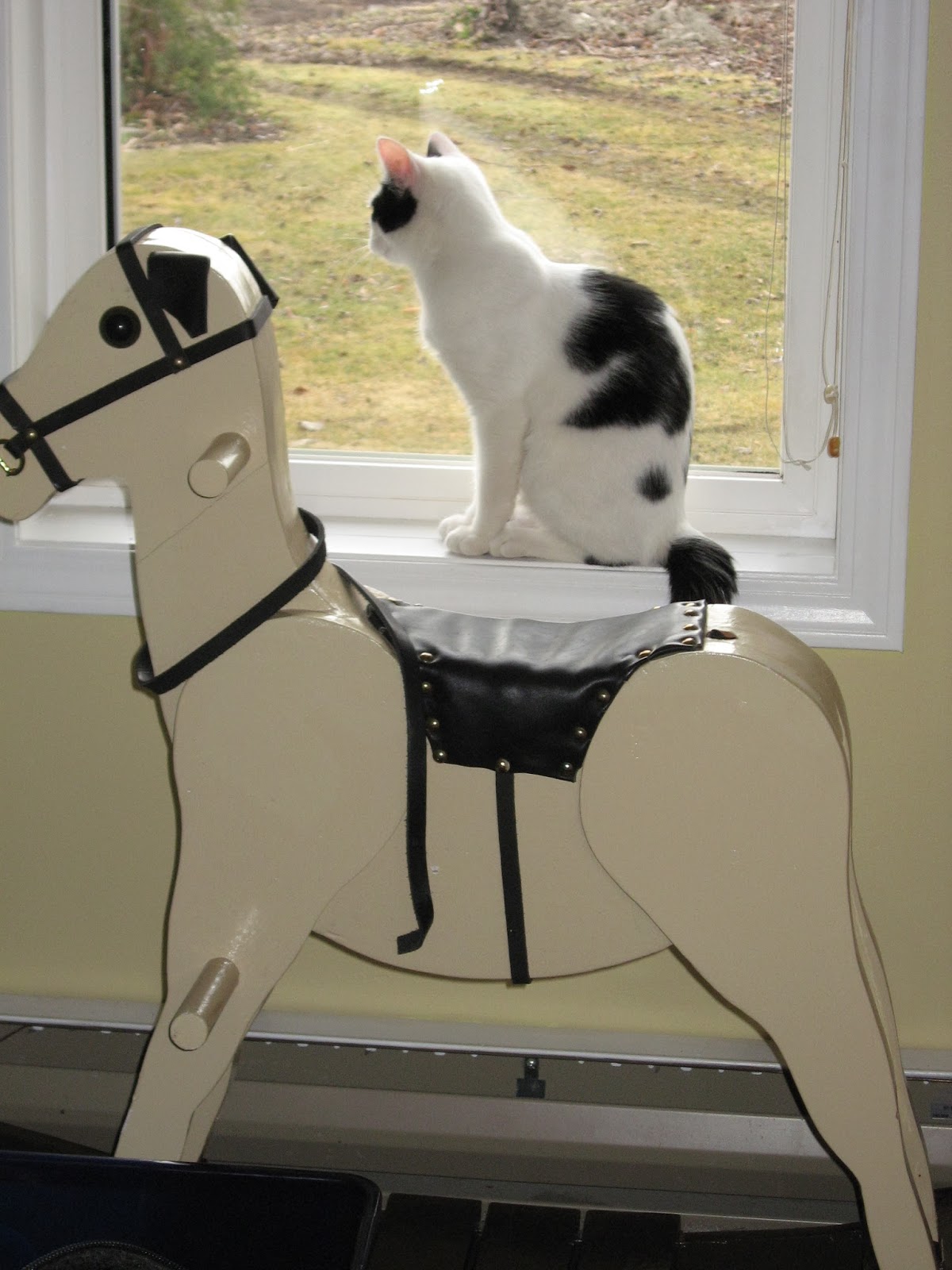 Through My Canadian Eyes: HONORABLE CAT