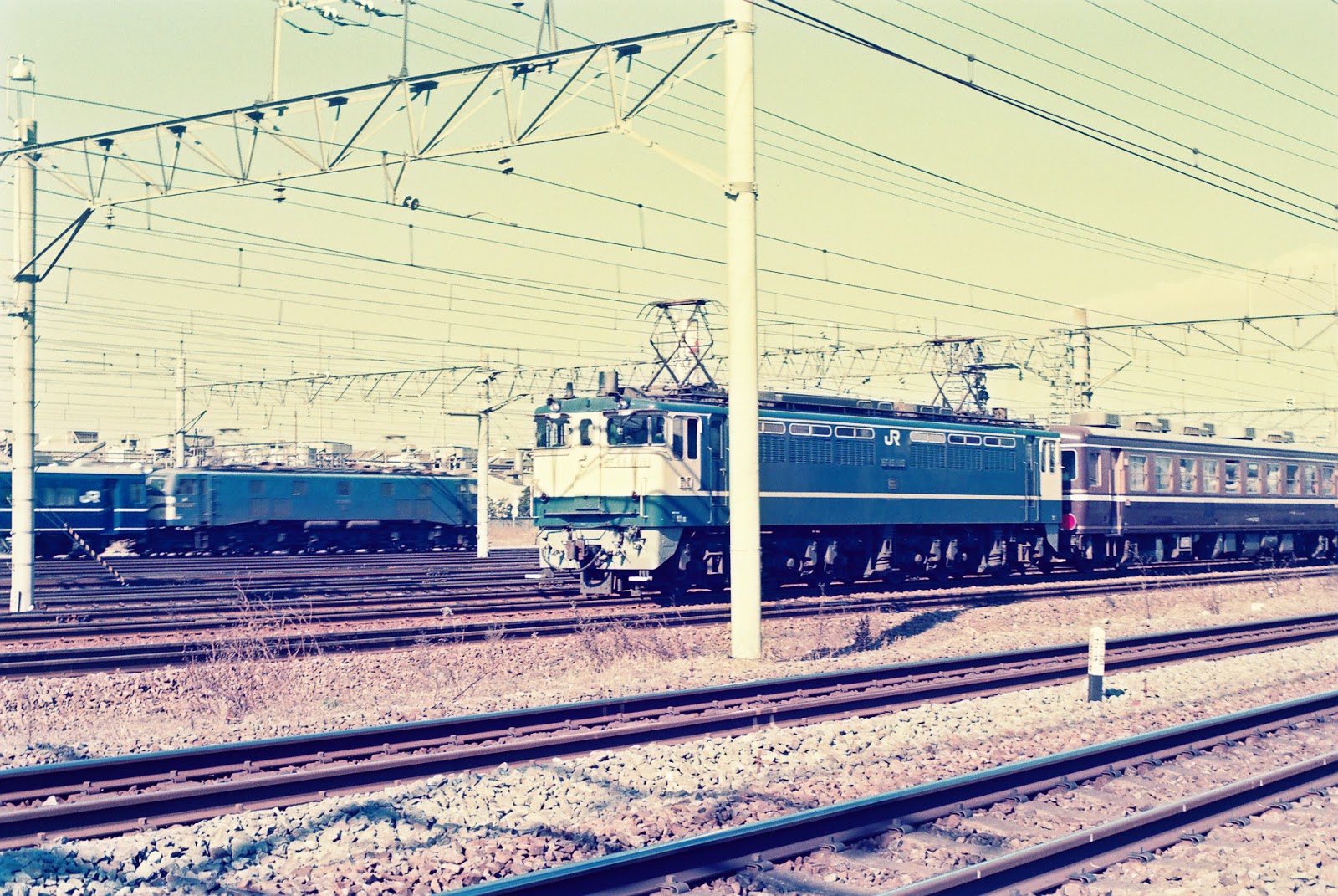 ハマちどり写真帖: 【ゴハチの日】EF58 157との初邂逅