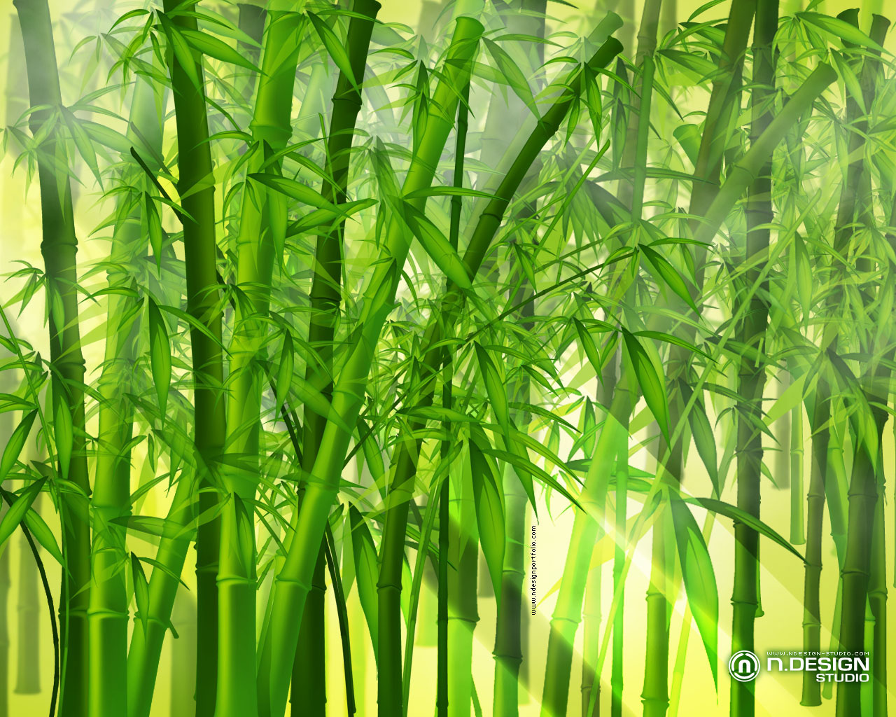 Sekilas Bambu GALANGAN BAMBU sekilas-bambu-galangan-bambu
