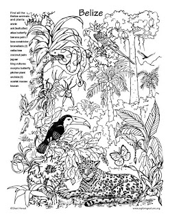 Kids Page: - Belize Rainforest Hidden Picture And -- Exploring Coloring ...