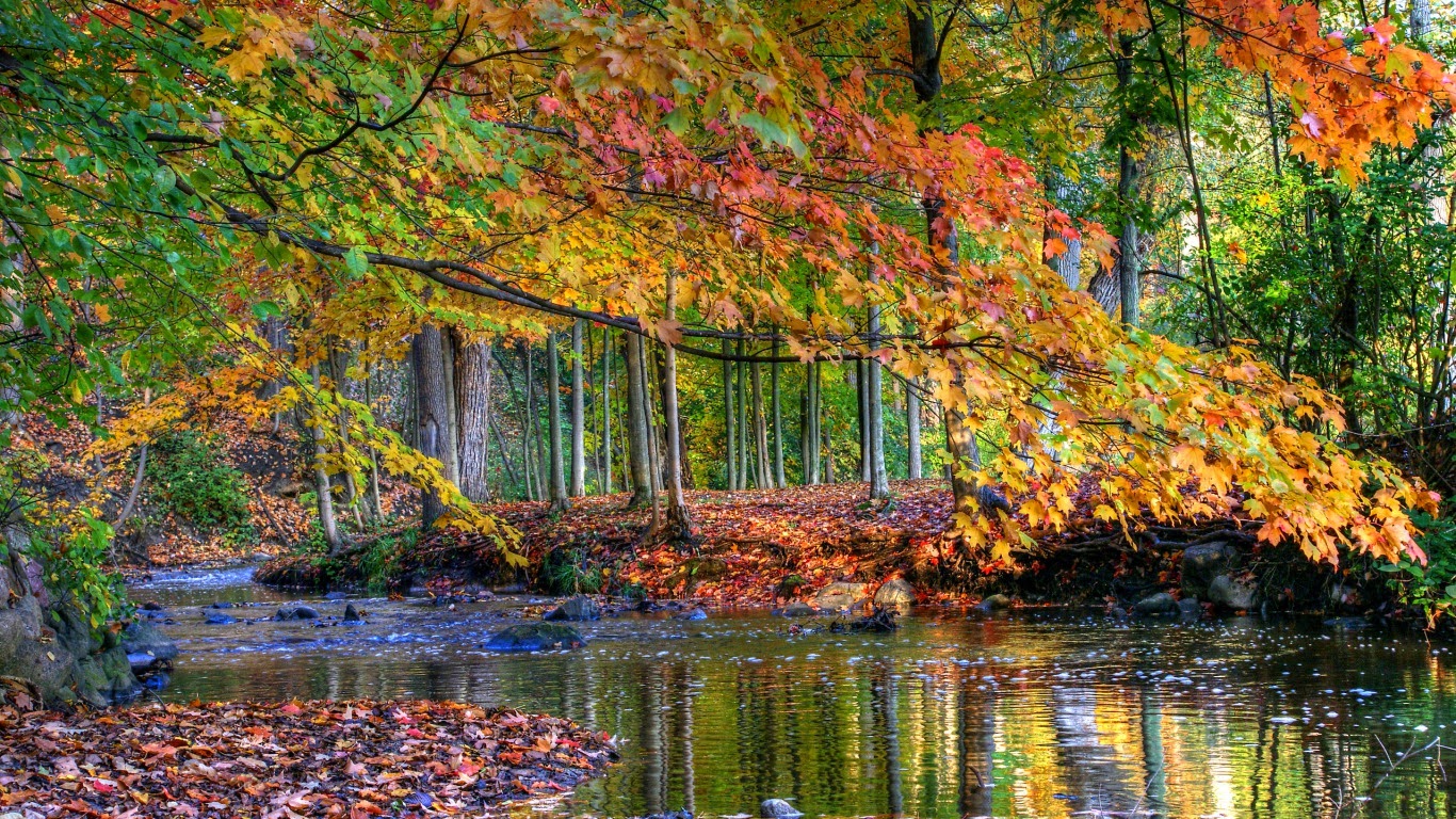 Word Chimes: Photo-Book Tales: Autumn