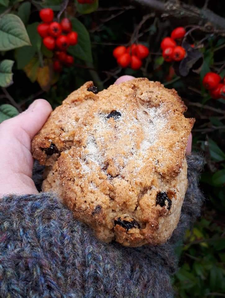 Radical Honey: Reclaiming Catterntide: a Women's Winter Journey for ...