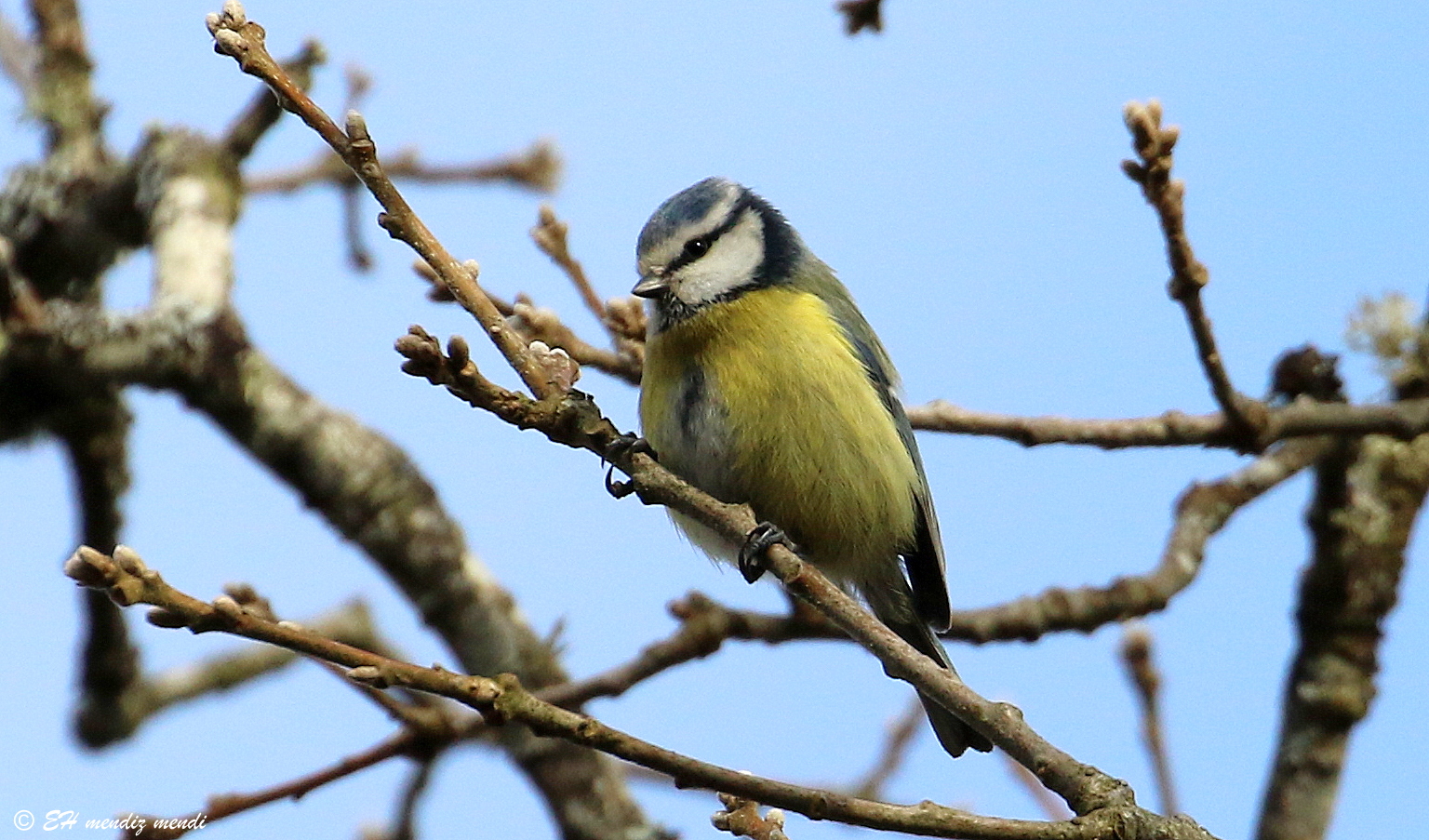 Euskal Herria mendiz mendi: OIANBAKOITZ (1226M), MILPIRIBIL (1277M ...