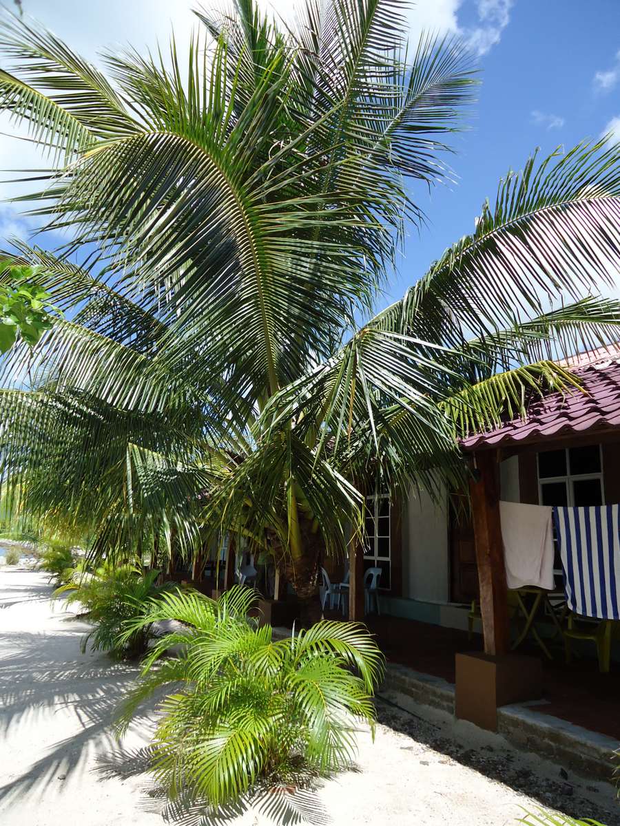 Space of Happiness: Latest photos of Senari Bay Resort, Pantai Cenang ...