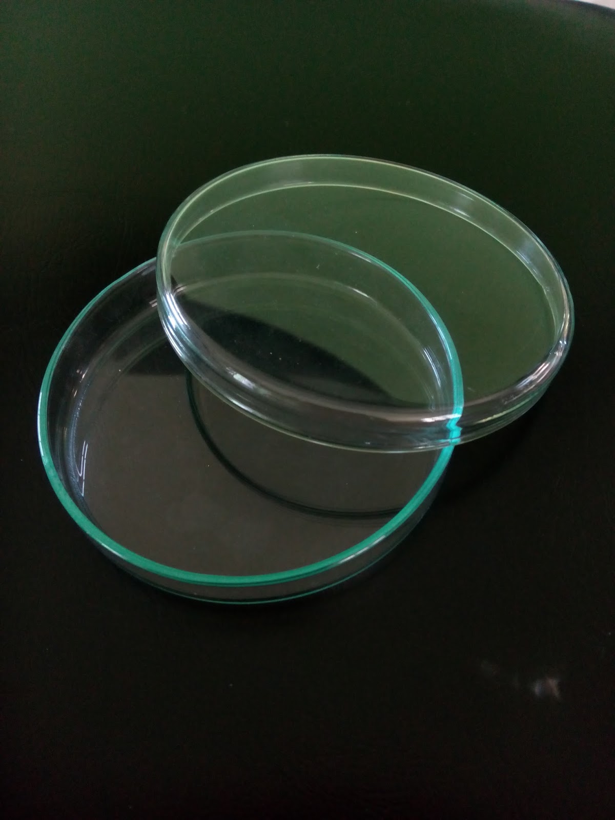 CAWAN PETRI | Laboratorium IPA Terpadu