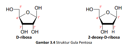 8th: Reaksi-Reaksi Spesifik Pada Nukleotida - CHEMISTRY DAILY
