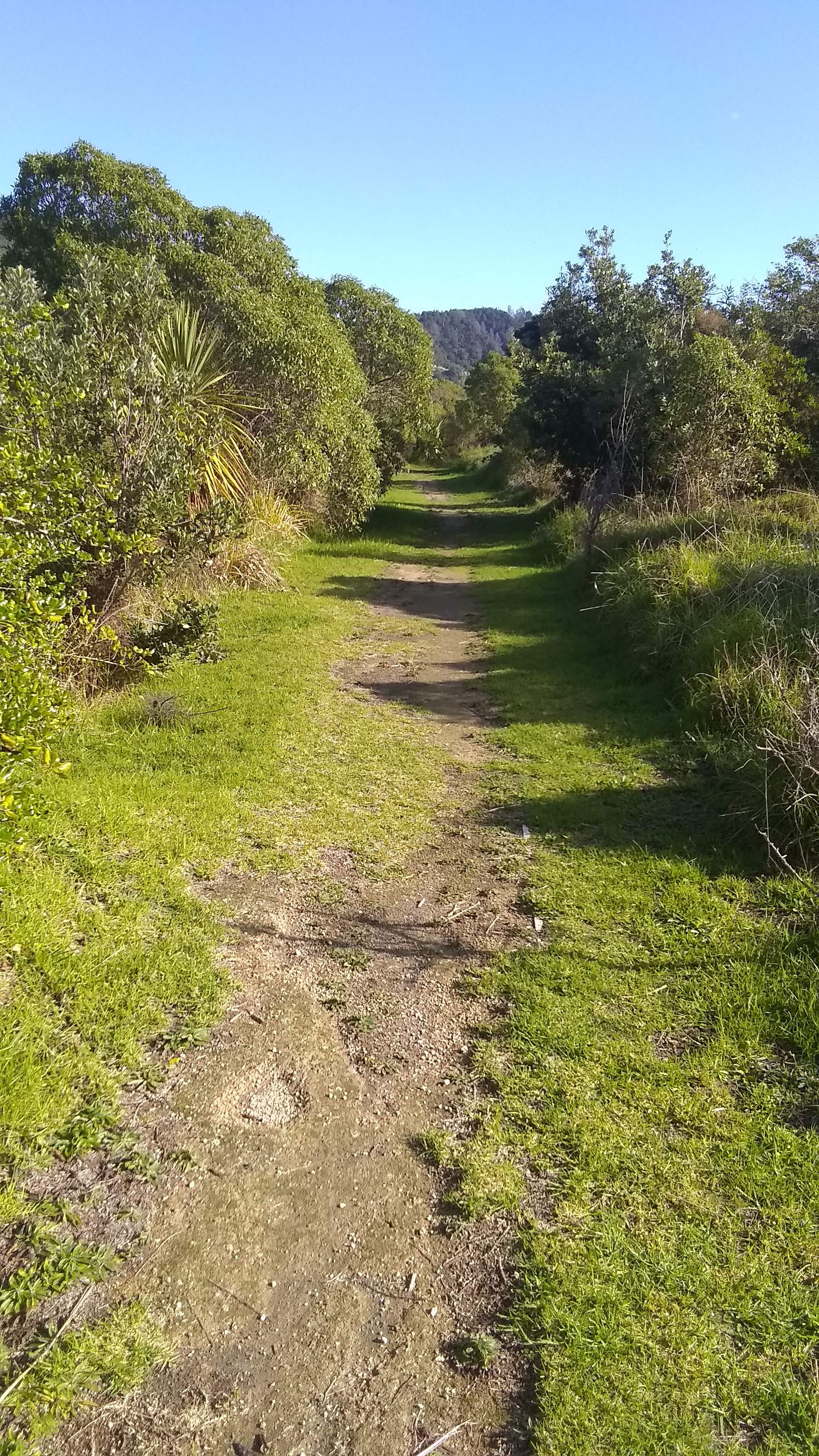 Matata Wildlife Lagoons and Beach: Winter Walk