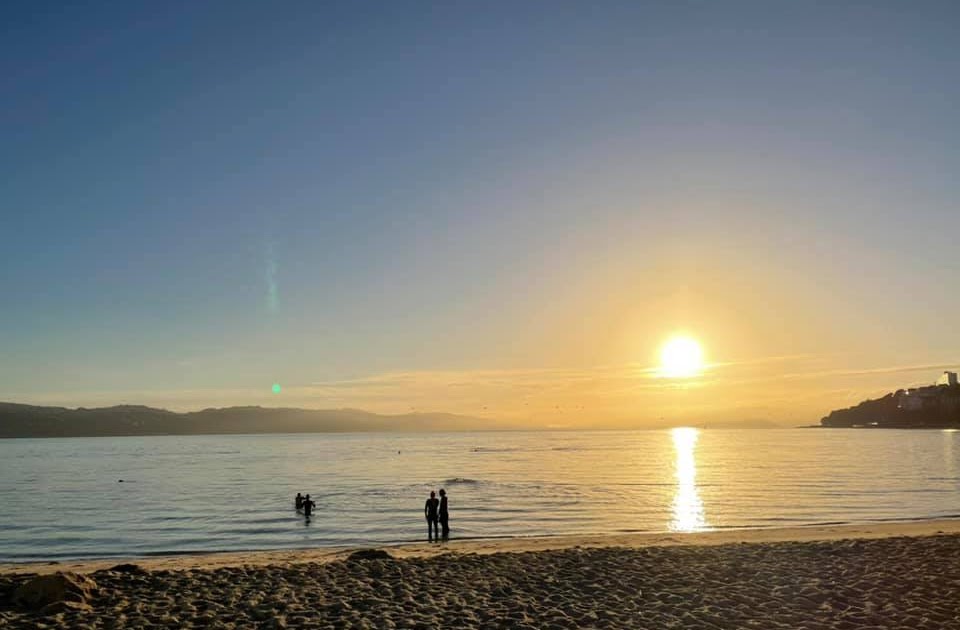 Lots of dawn swimming