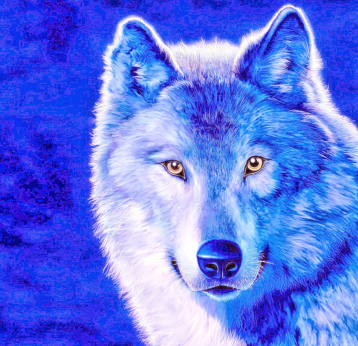 Danaela: Pe calea misterelor: Marele Lup Alb