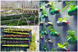 Vertikultur - pengertian, tujuan, bentuk, kelebihan, media tanam ...