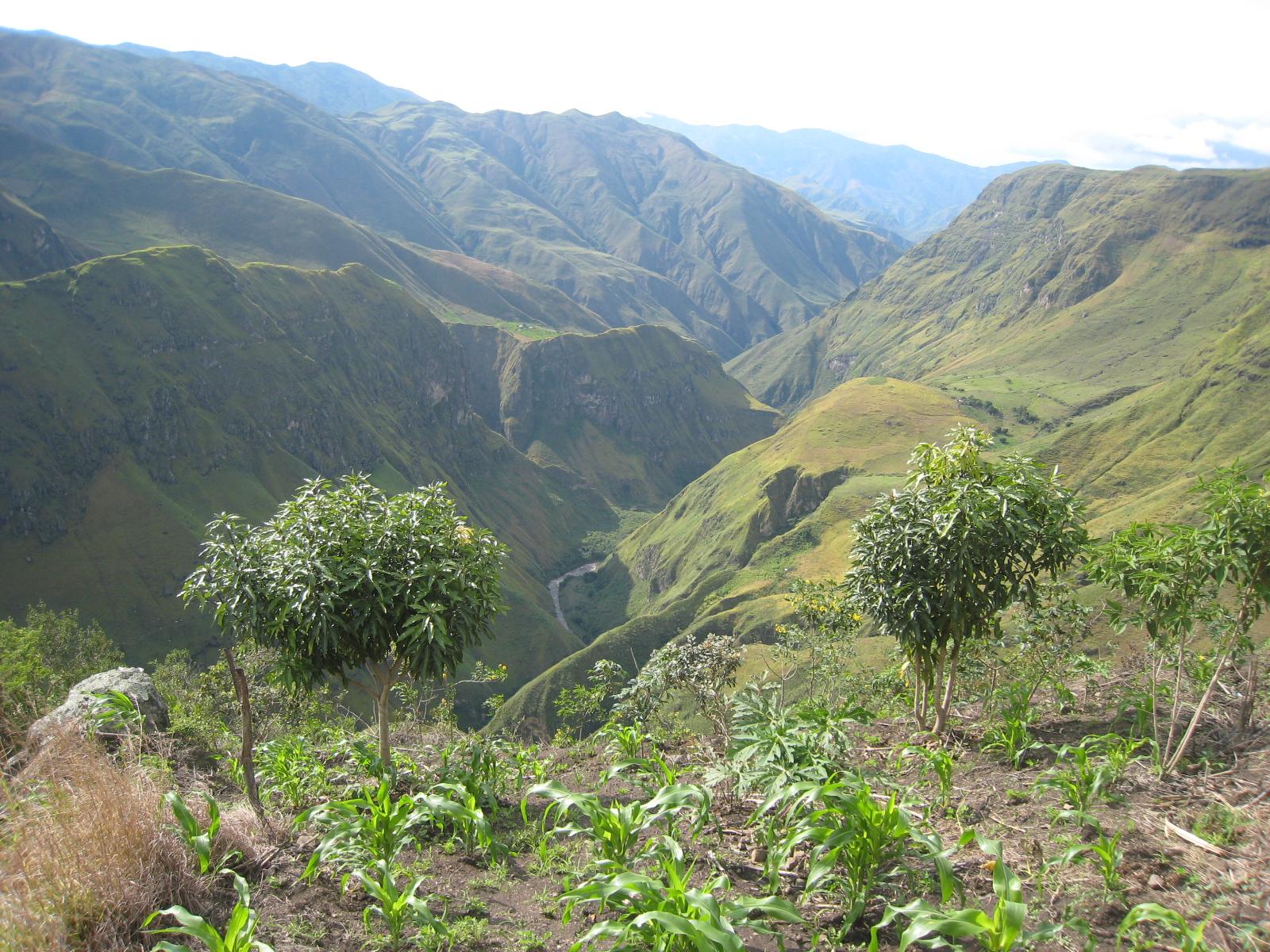 Imagenes de Nariño: MUNICIPIO DE CHACHAGÜI