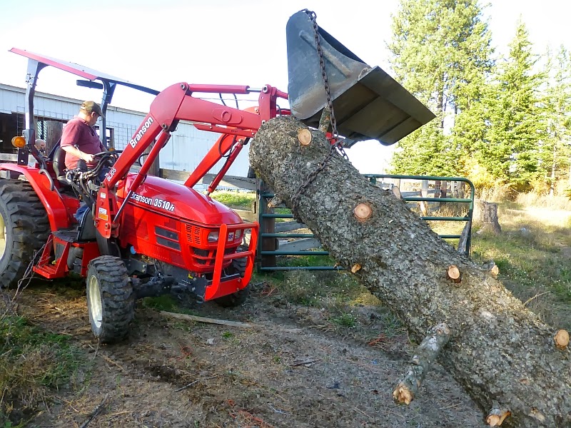 Rural Revolution: Small-scale logging