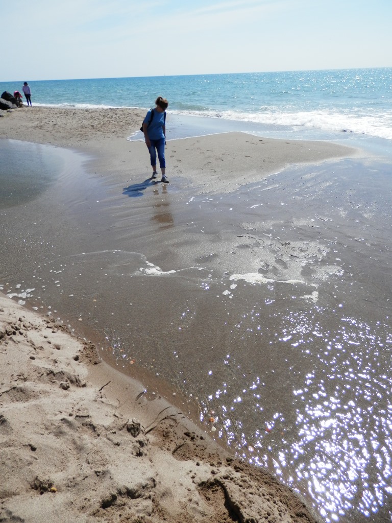 esgarrapacrestes: ESTANY DEL REMOLAR I LES MARESMES DE LES FILIPINES.