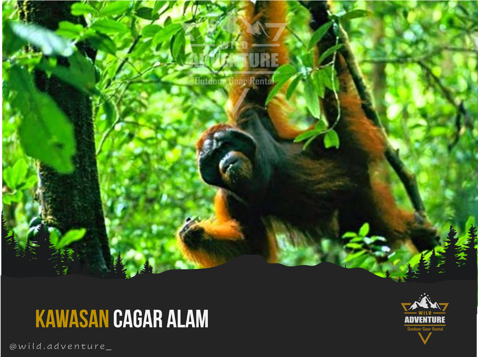 Kawasan Cagar Alam | SEWA TENDA CAMPING SRAGEN