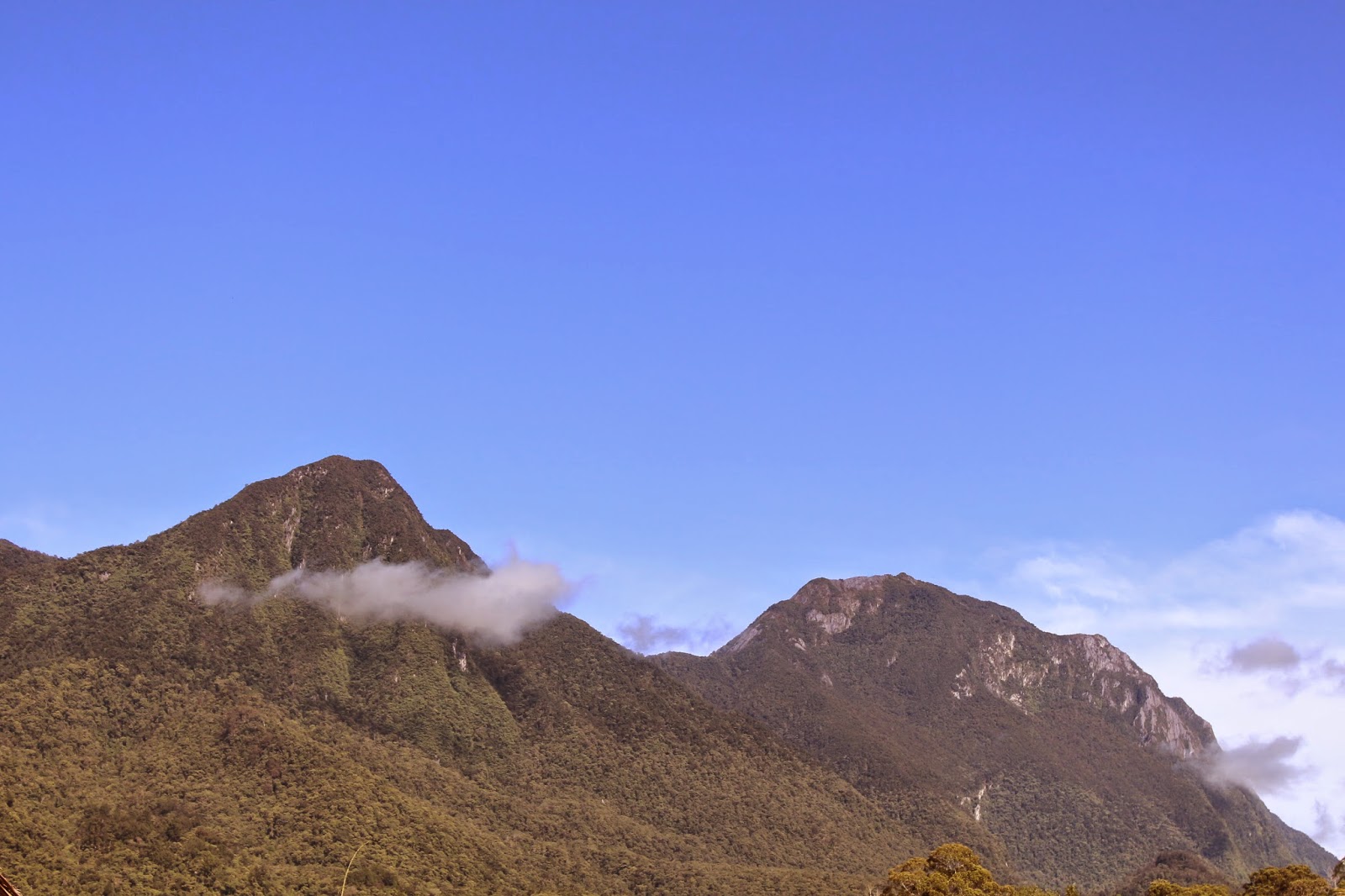 Gunung Murkele | 95 Pixel