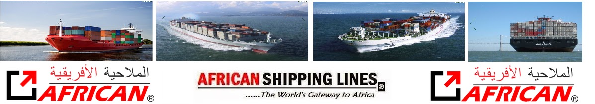 AFRICAN SHIPPING LINE: AFRICA - SOUTH EAST ASIA CONTAINER LINES GROWING ...