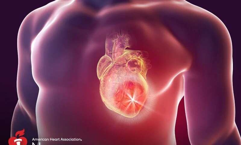 SALUD Y MEDICINA: ¿Porqué los Cánceres del Corazón son raros?