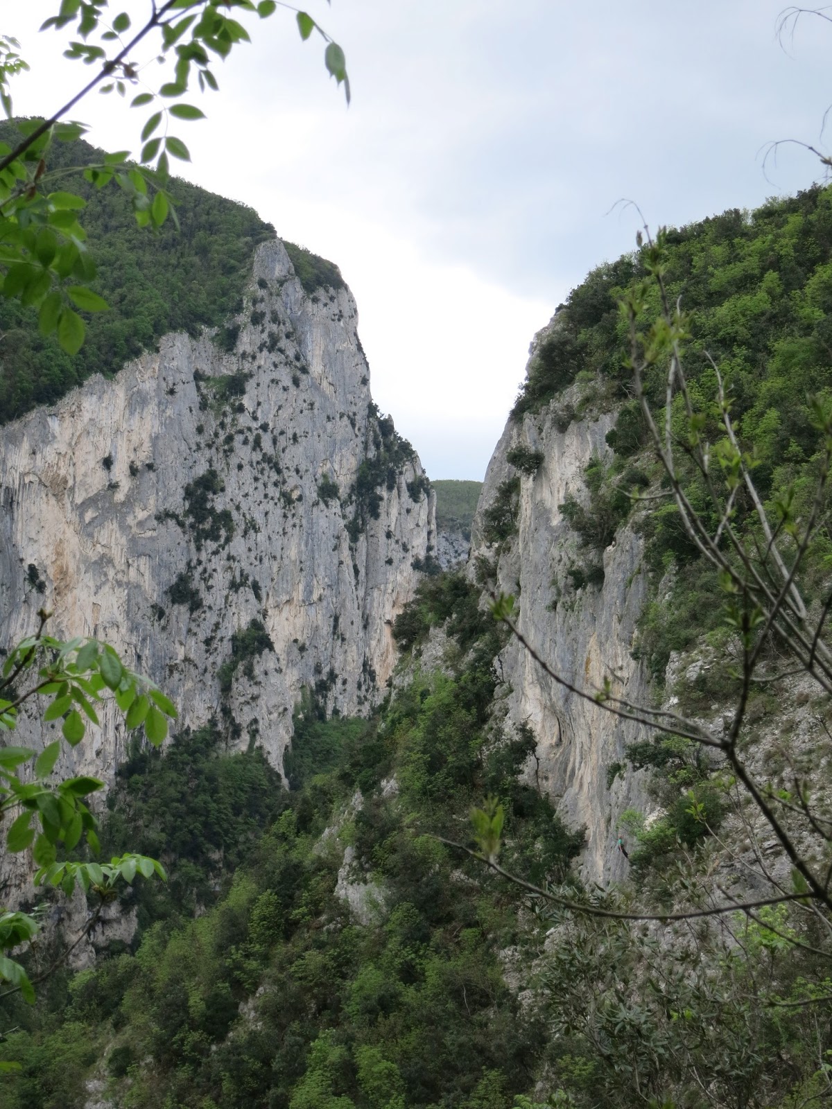 Itineris Mei: Monte Pietralata - Ascesa alla Testa del Duce