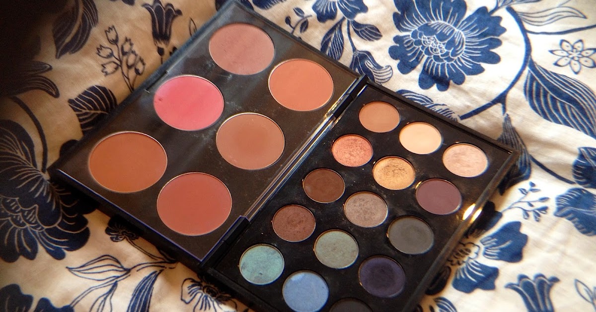 Stranded in Chicago: MAC Pro Palette for Blush and Eyeshadow