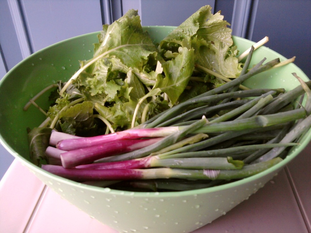 Sizzling Indian Recipes.....: Sauteed Green mix with Veggies - Mooli ...