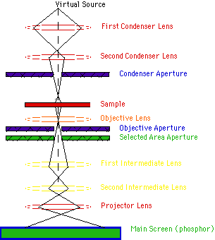 Fundamental Principles of Transmission Electron Microscope (TEM)