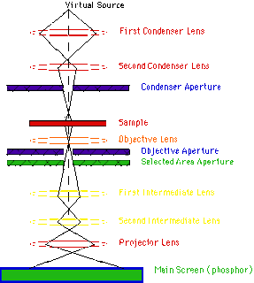 Fundamental Principles of Transmission Electron Microscope (TEM)