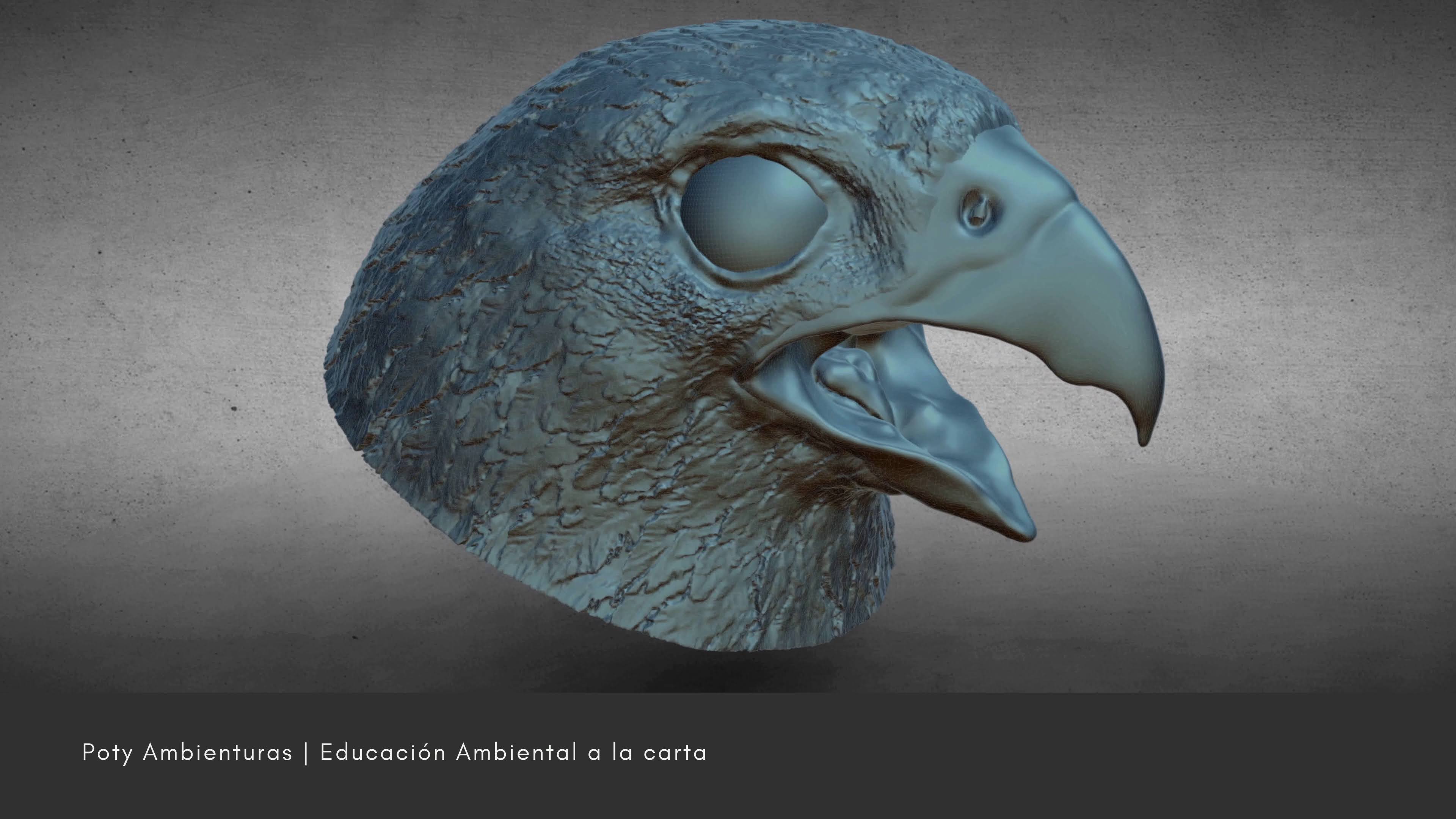 Diente tomial | El Diente de Halcón