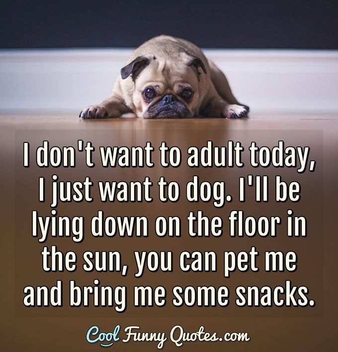 Whoops! I Did It Again!: I Want to Dog