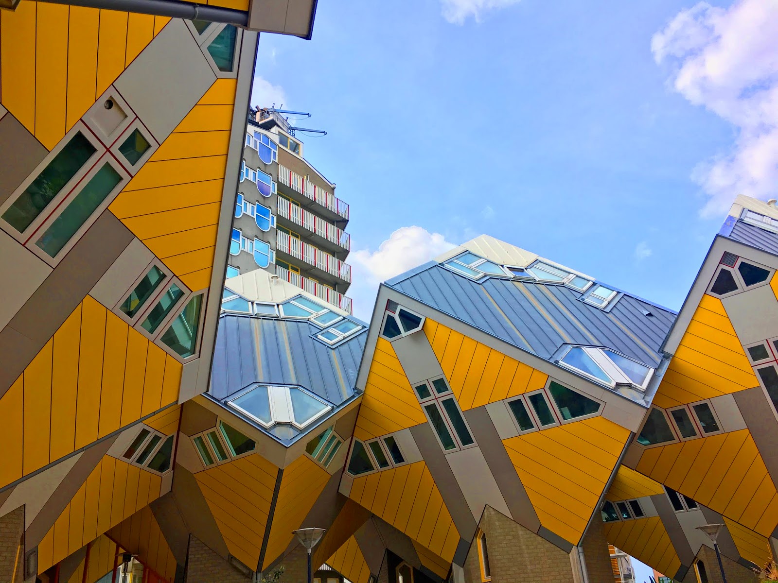 The Owlet: 6 Things you Can't Miss in Rotterdam