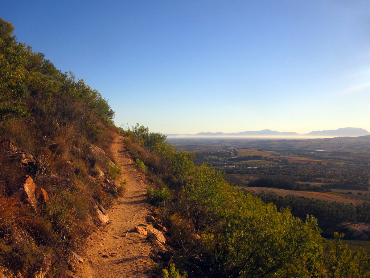 Stellenbosch Mountain First Beacon Trail Run