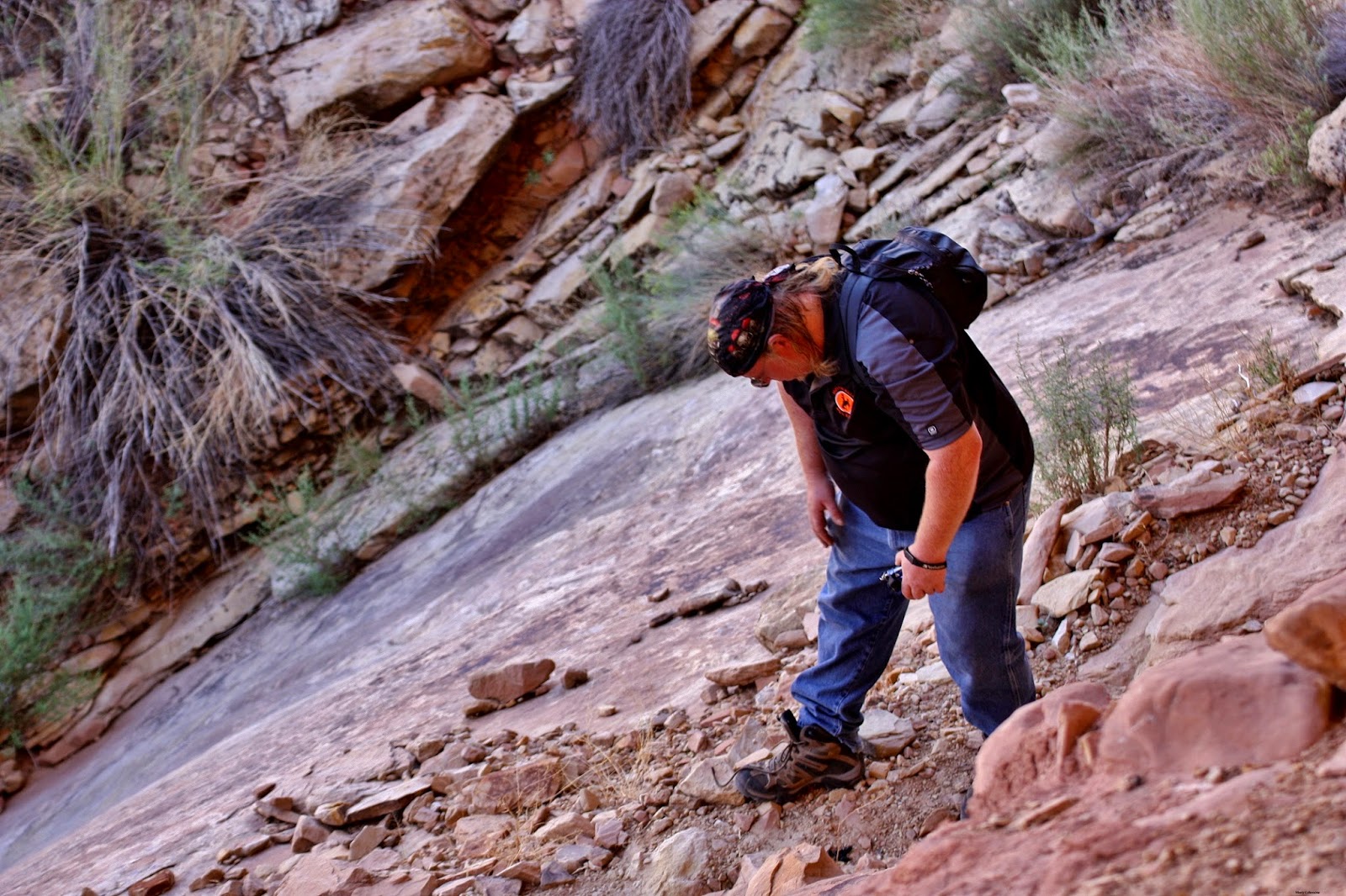 The Southwest Through Wide Brown Eyes: Wolfman Panel and Ruins - Comb ...