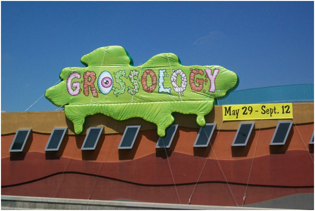 Creatable Inflatables: Custom Inflatable Signs: Grossology
