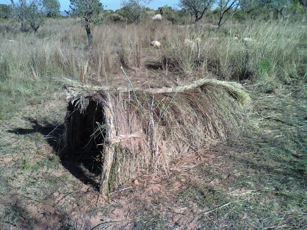 Prepper y Supervivencia: COMO CONSTRUIR UN REFUGIO