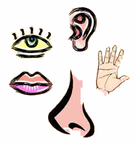 Psicologia da Enfermagem: O Novo sentido do Tato