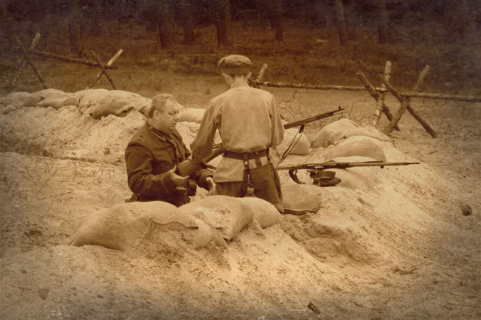 Bitwa pod Berezyną (część pierwsza) | W o l s z t y n