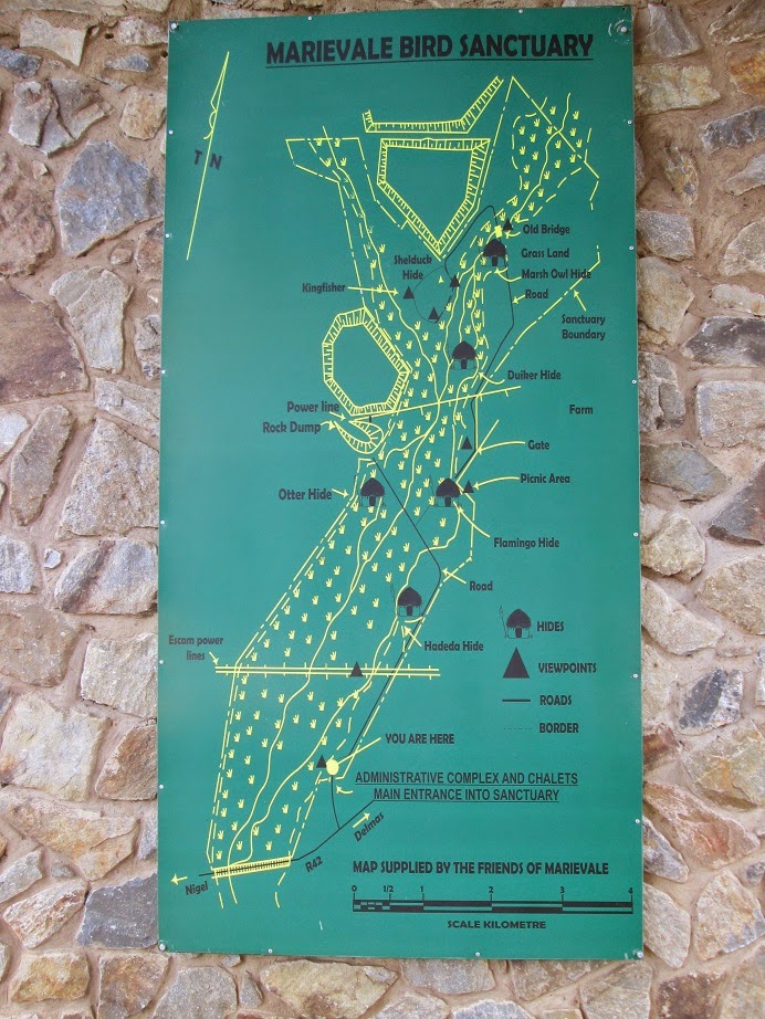 Worldbirder: Marievale Bird Sanctuary