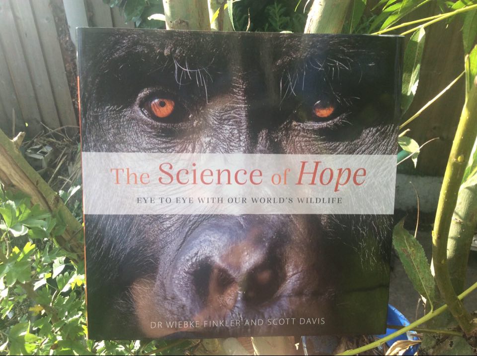 Diaries of a Wildlife and Outdoors lover