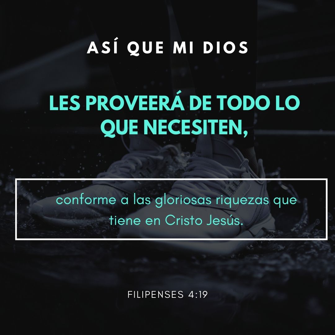 REFLEXIONES SEMANALES: DIOS PROVEERÁ