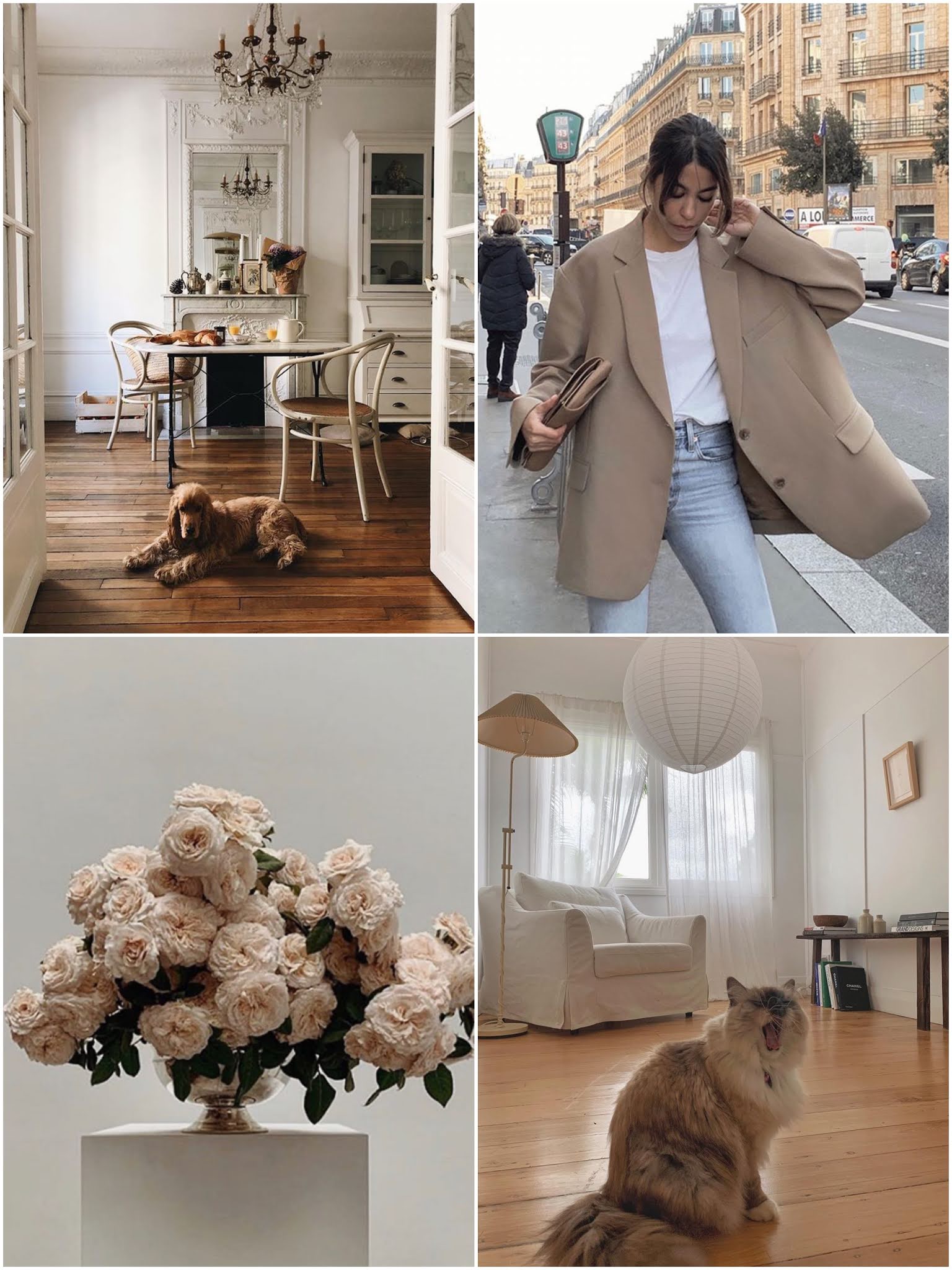 Beautiful, Beautiful and Beautiful ~ 𝒲𝑒𝑒𝓀𝑒𝓃𝒹 𝐹𝒶𝓋𝑜𝓇𝒾𝓉𝑒𝓈 | Cool Chic ...