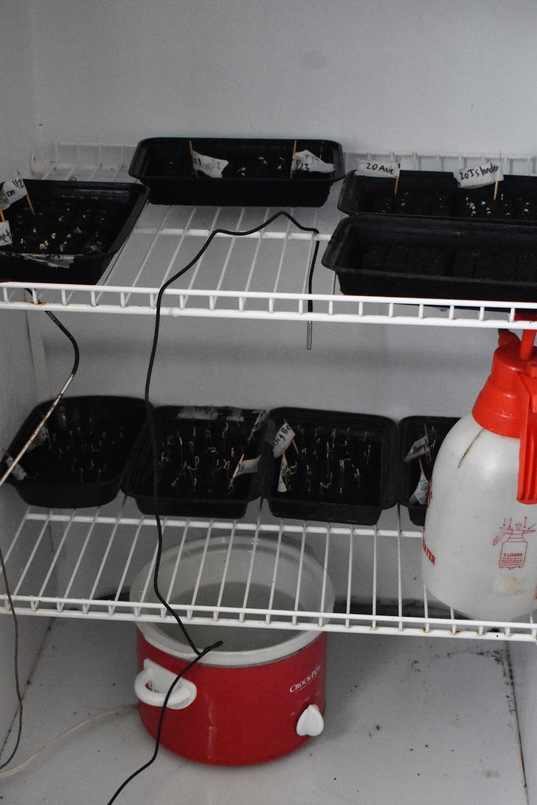 Sow Kindness, Harvest Love: DIY Seed Germination Chamber