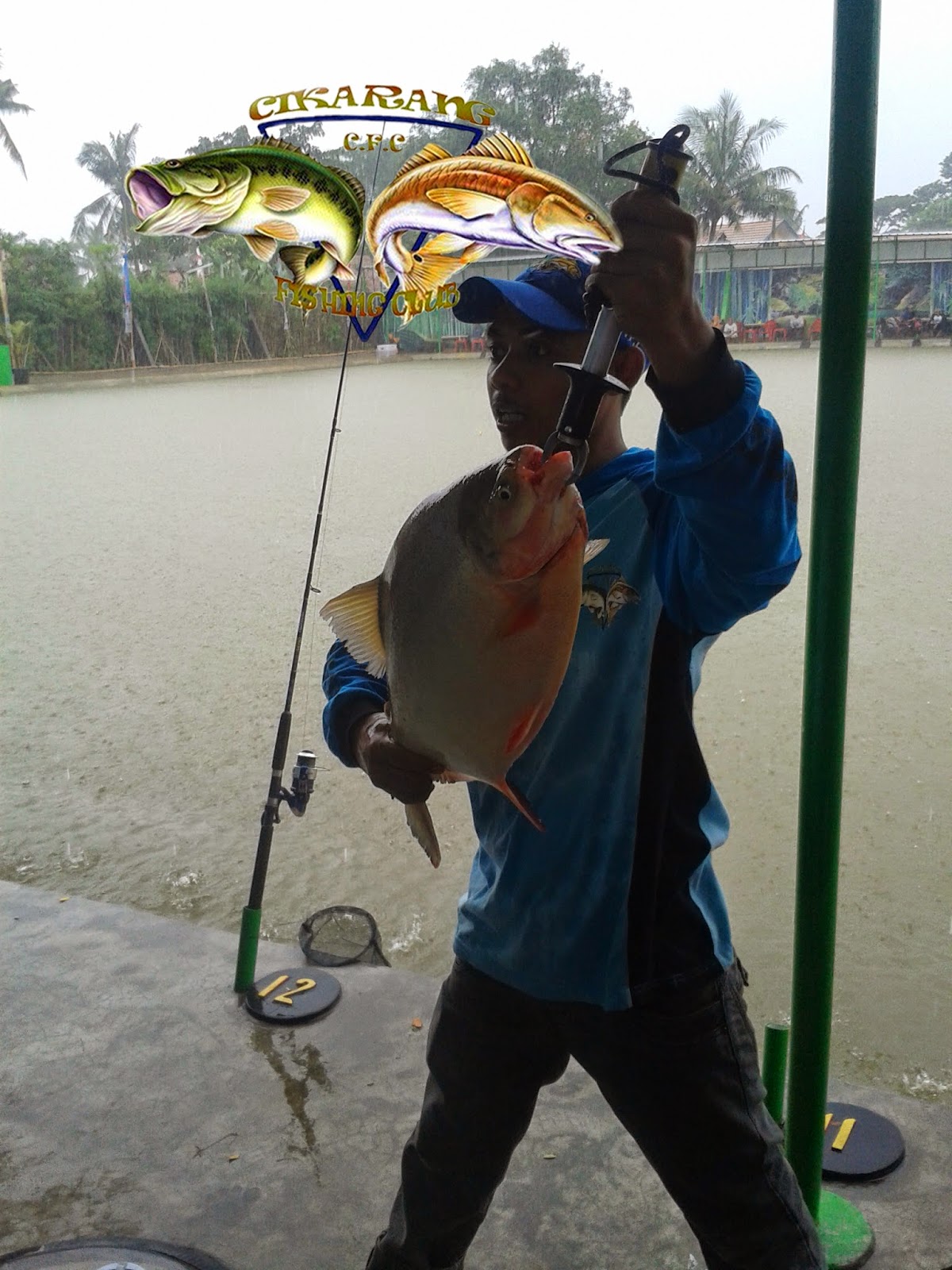 mancing bareng di pemancingan saung desa ~ cikarang fishing club