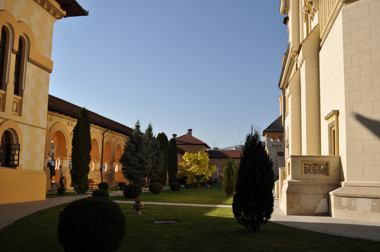 Poze, Natura, Animale, Plante, Romania, Valcea, Ionut Ungureanu