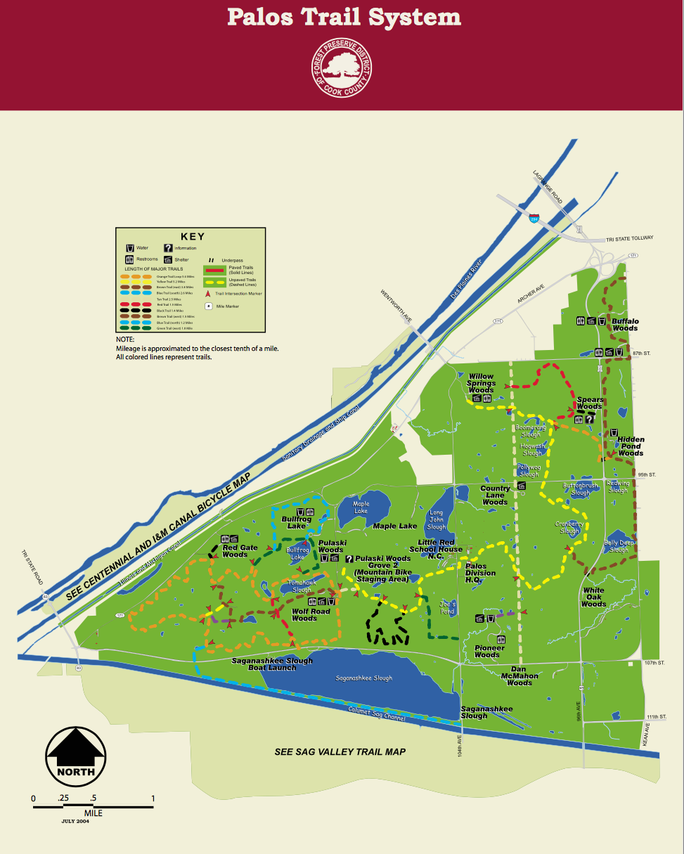 Heather Runs Thirteen Point One: run where i live: chicago