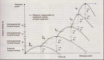 Sports and Conditioning Blogs: G. KINETIC LINK PRINCIPLE