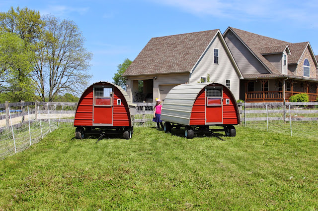 Liberty Mission Farm: New Egg Mobiles