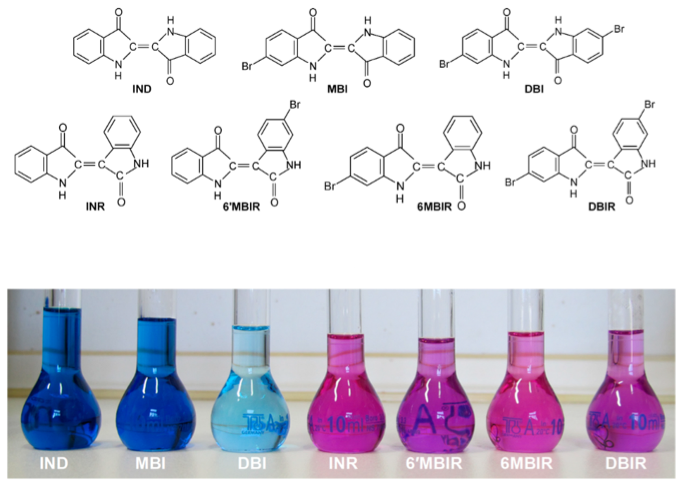 Shellfish pigment Tyrian purple: New review and technological insights