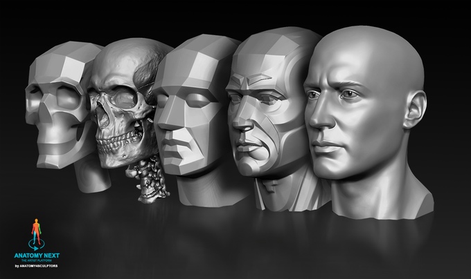 Augmented Reality: Revolutionary 3D Head & Neck Anatomy Book